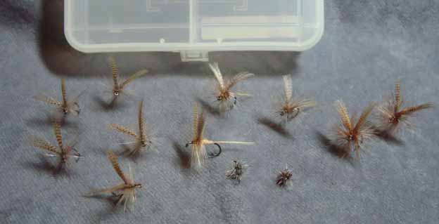 MARY_WALT_WINNIEDETTE